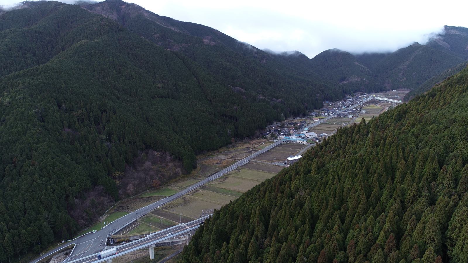 Learning From the Past: Japan's Tree-planting Efforts Provide Lessons ...