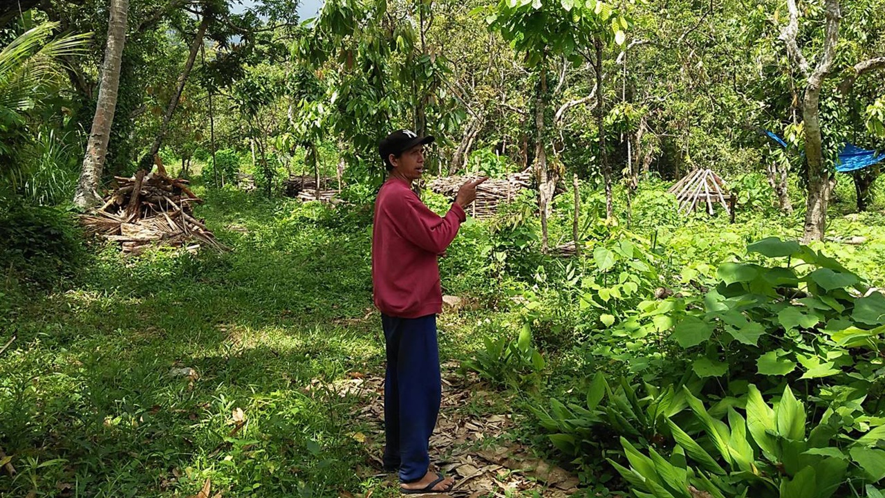 Rumah Intaran dan Pengalaman Rasa: Belajar Pangan Lokal di Desa Bengkala