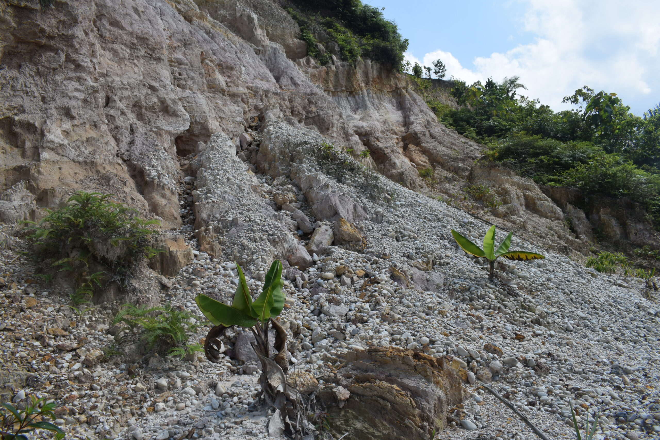 Kerusakan Hutan Lindung Keumuning ancam sumber daya air Kota Langsa