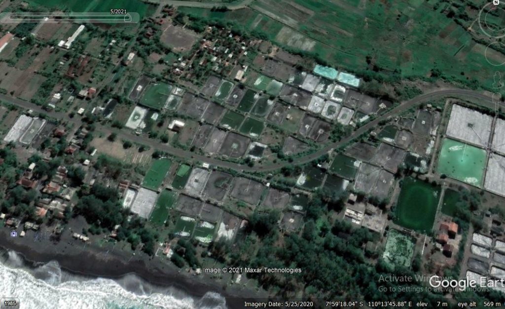 Bom waktu limbah tambak udang di pesisir Yogyakarta Bom waktu limbah tambak udang di pesisir Yogyakarta