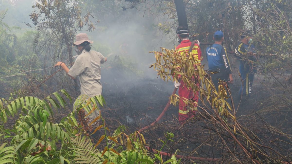 Sumarni Laman: Memperjuangkan masyarakat adat bukan jalan yang dipilih ...
