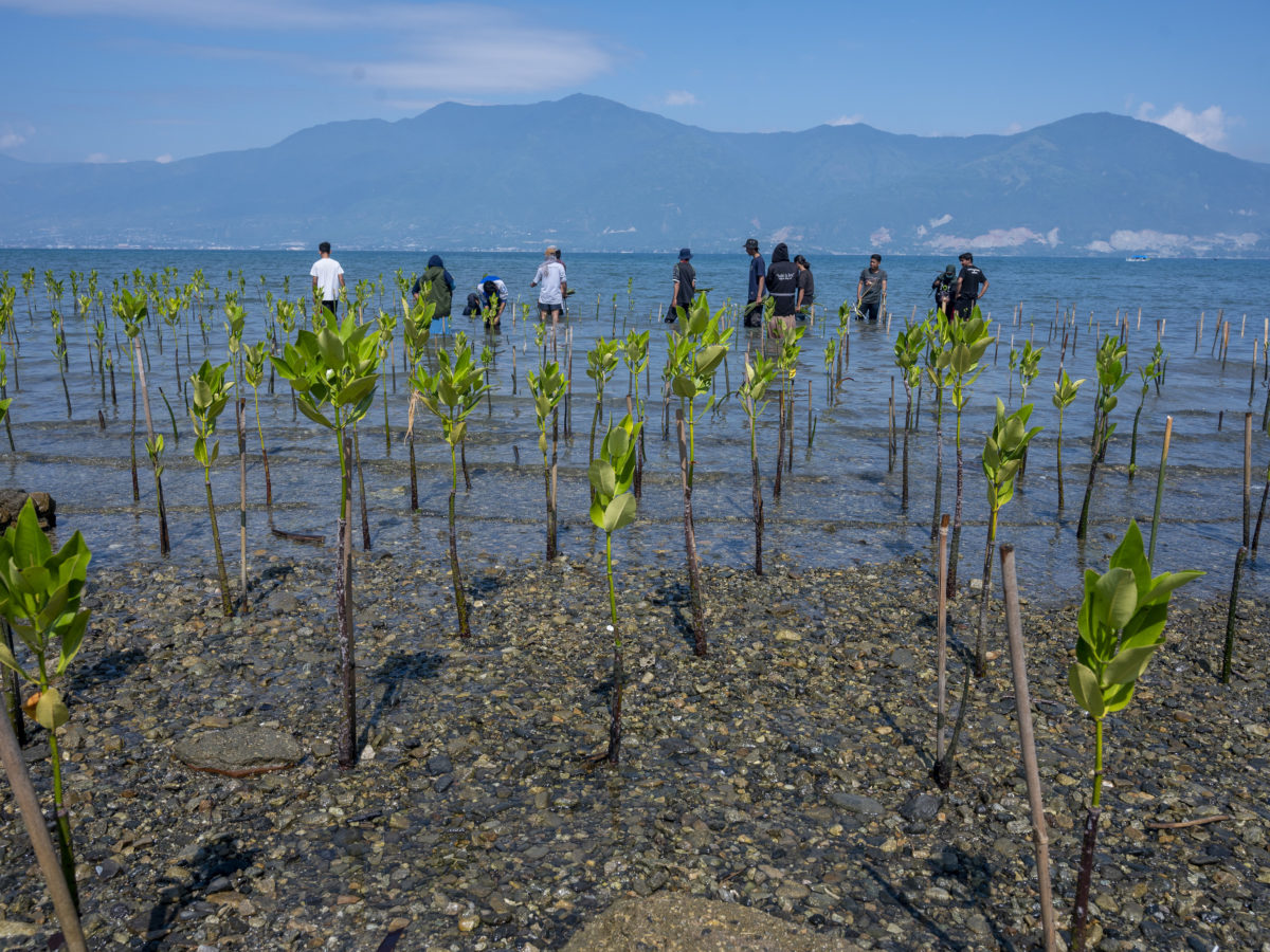 Basri Marzuki, Author at Ekuatorial