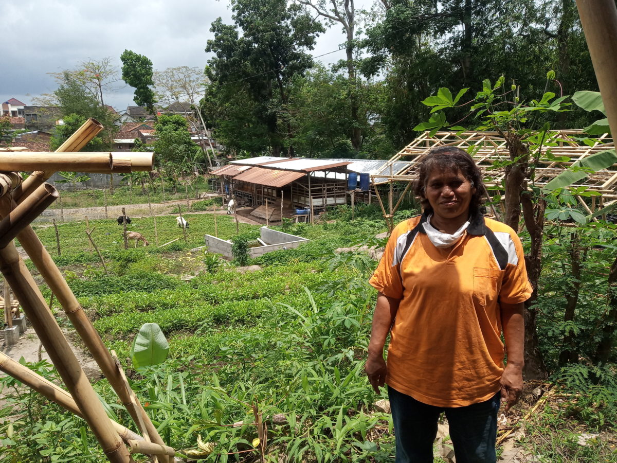 Urban farming, solusi perempuan Yogyakarta menjaga ketahanan pangan