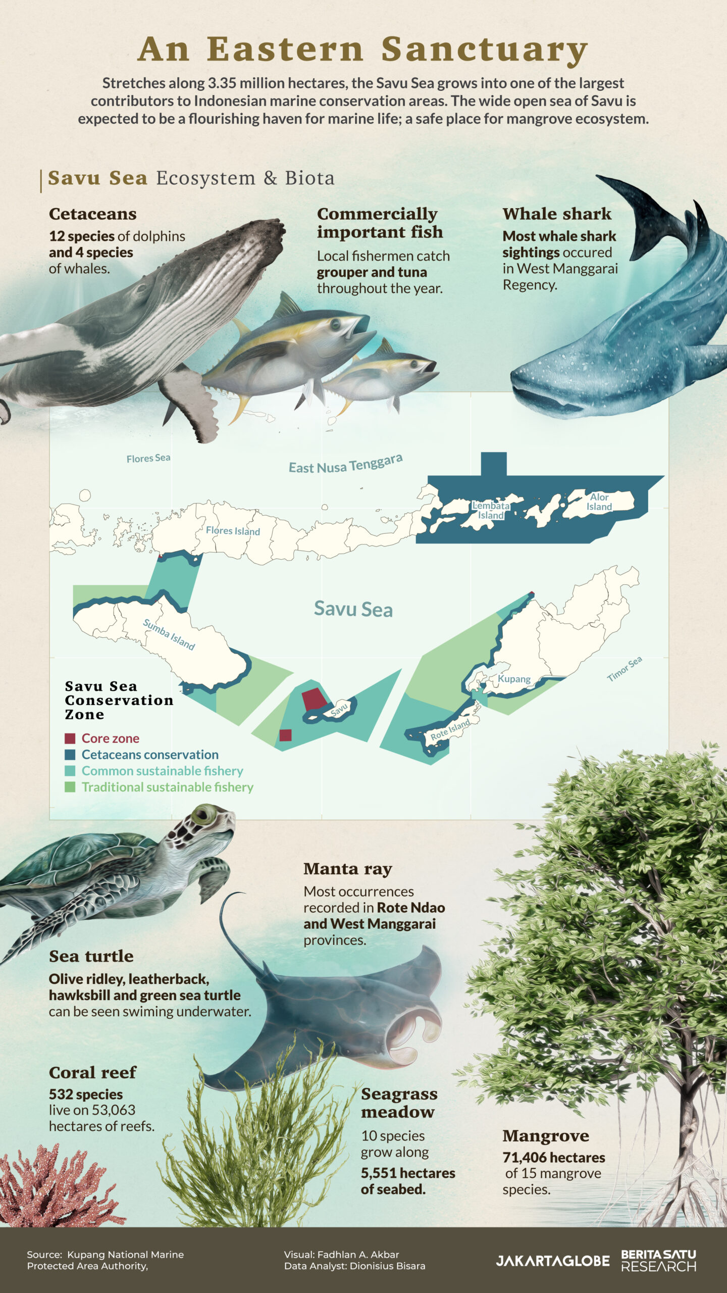 Savu cetaceans stranding: The jury is still out