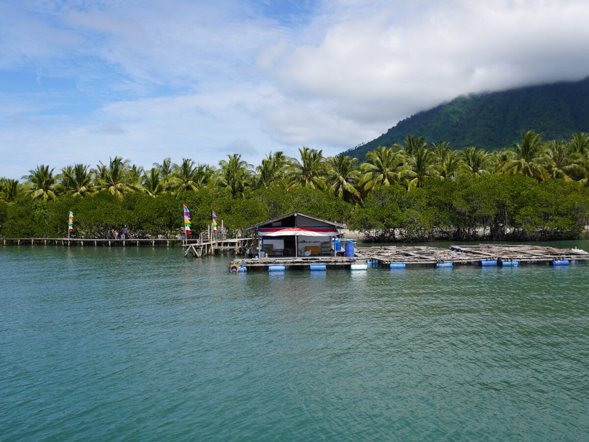 Halaman Muka - Ekuatorial