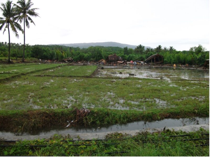 Pelajaran dari bencana terdahsyat tsunami Selat Sunda dan tsunami Aceh
