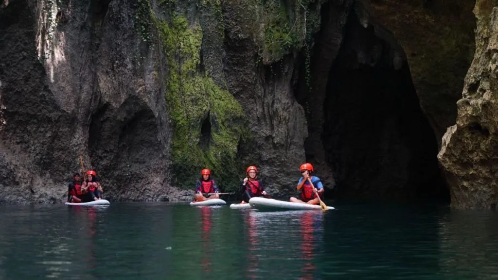 Tambang hadir, Burung di Kawasan Goa Boki Maruru terancam